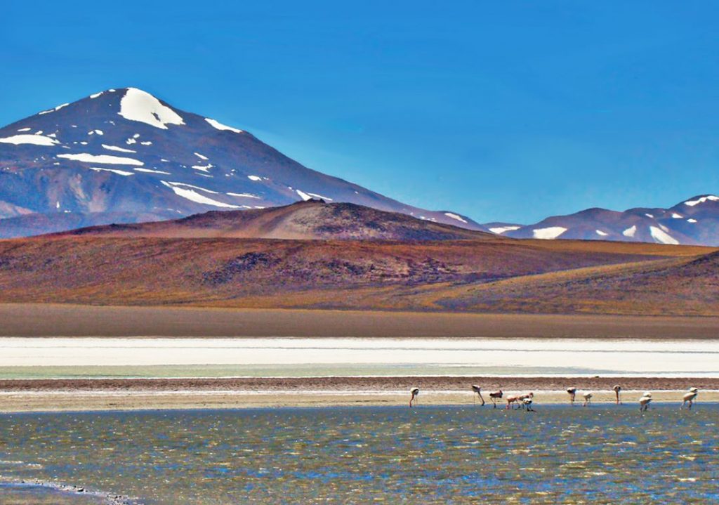 Reserva Laguna Brava La Rioja Turismo Argentina