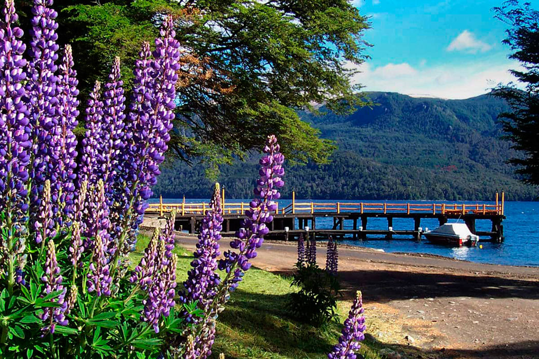 Villa Traful Neuquén Turismo Neuquen Guia de Turismo Argentina 🇦🇷